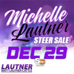 State Fair Size & Quality Breed Steers | Matt Lautner Cattle