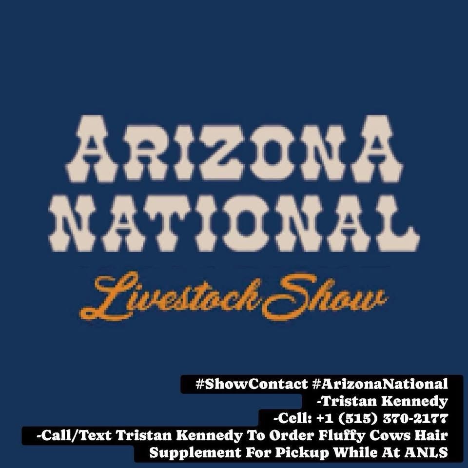 #FluffyCows #HairSupplement #ArizonaNational #Phoenix | Matt Lautner Cattle