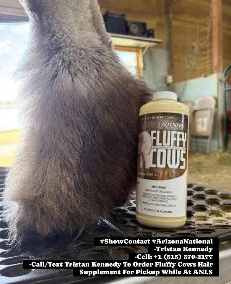 #FluffyCows #HairSupplement #ArizonaNational #Phoenix | Matt Lautner Cattle