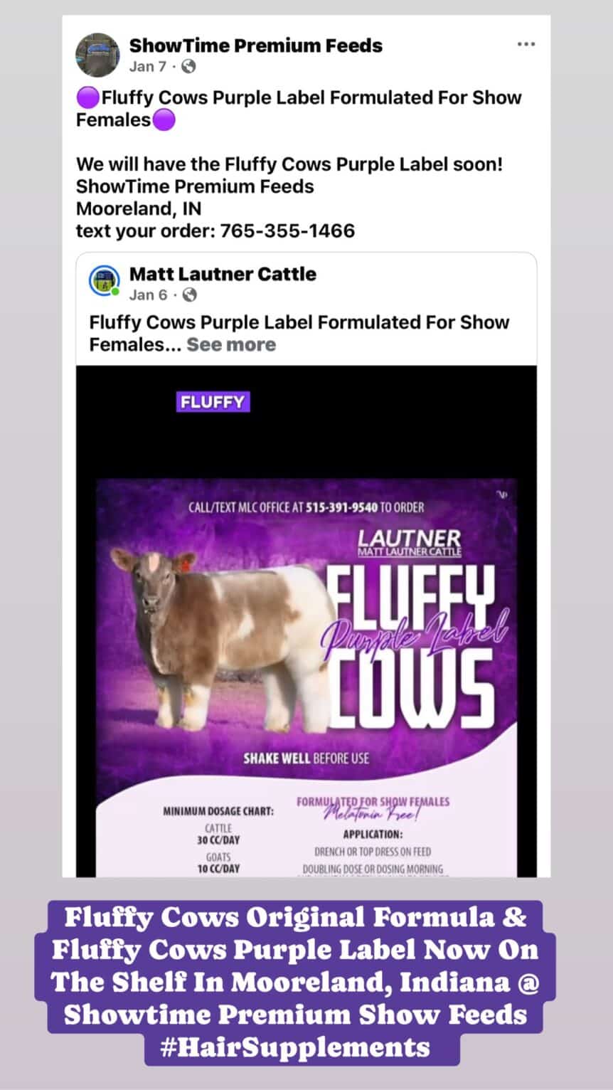 #Thursday | Matt Lautner Cattle