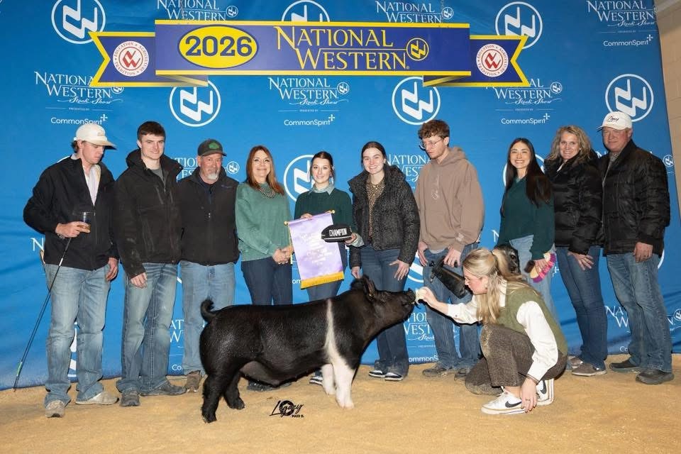 #FluffyCowsCustomer #HairSupplement #Denver #HogShow | Matt Lautner Cattle