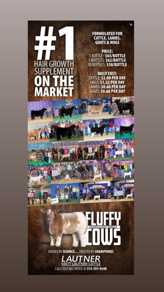 #FluffyCowsCustomer #HairSupplement #Denver #HogShow | Matt Lautner Cattle