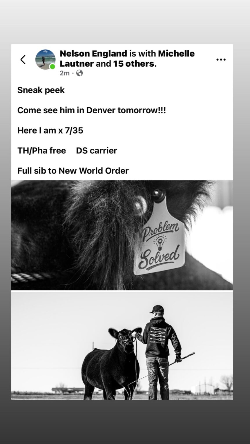 From Nelson England : Illinois | Matt Lautner Cattle