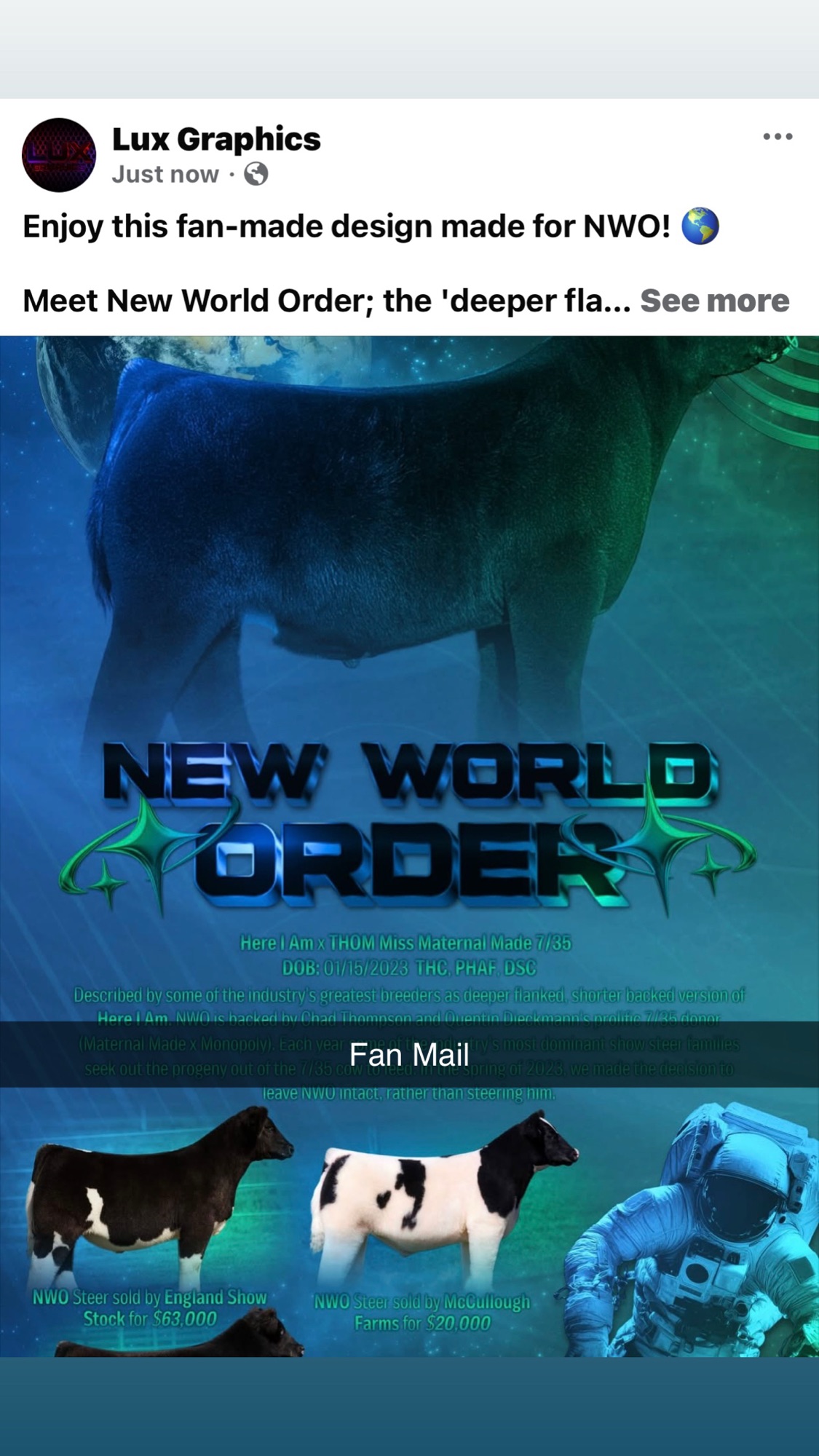 Fan Mail | Matt Lautner Cattle